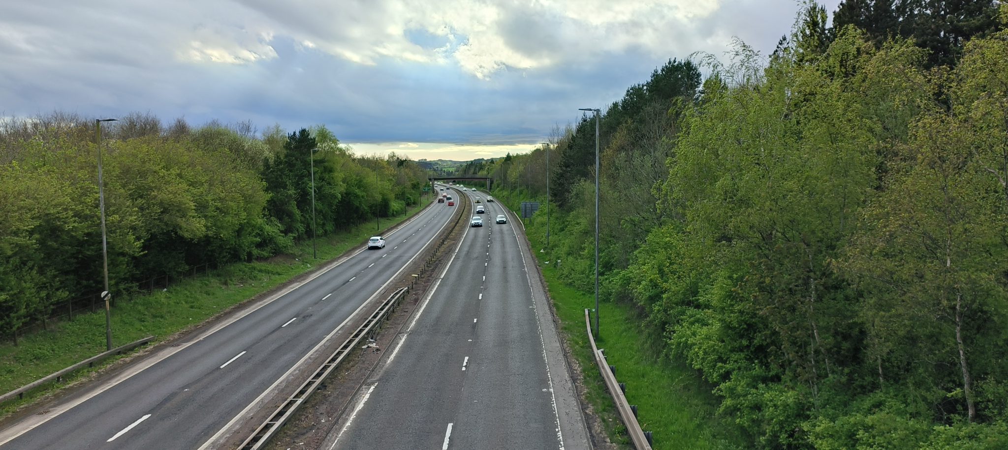 A737 early morning crash: Woman and four horses dead