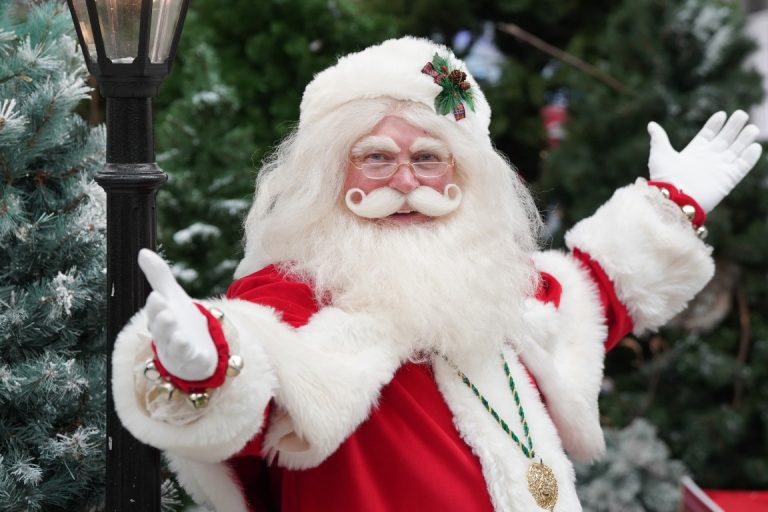 Santa experiences return to Dobbies’ Braehead store with events for ...