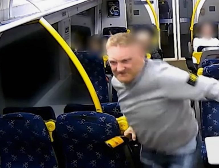 Train thug jailed for 12 years after horror bottle attack on passenger